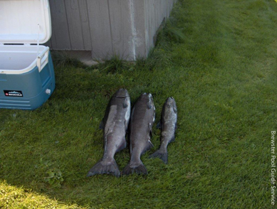 Brewster Pool Guide Service - Photos