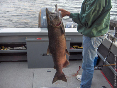 Brewster Pool Guide Service - Photos
