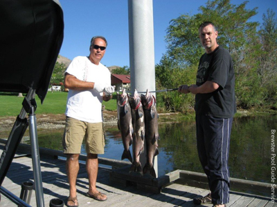 Brewster Pool Guide Service - Photos